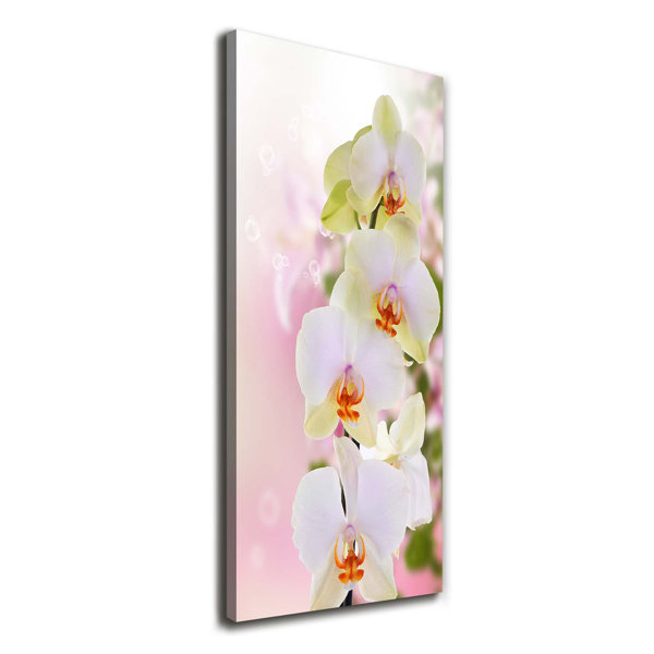 Brayden Studio Weiße Orchidee - Kunstdrucke auf Segeltuch | Wayfair.de